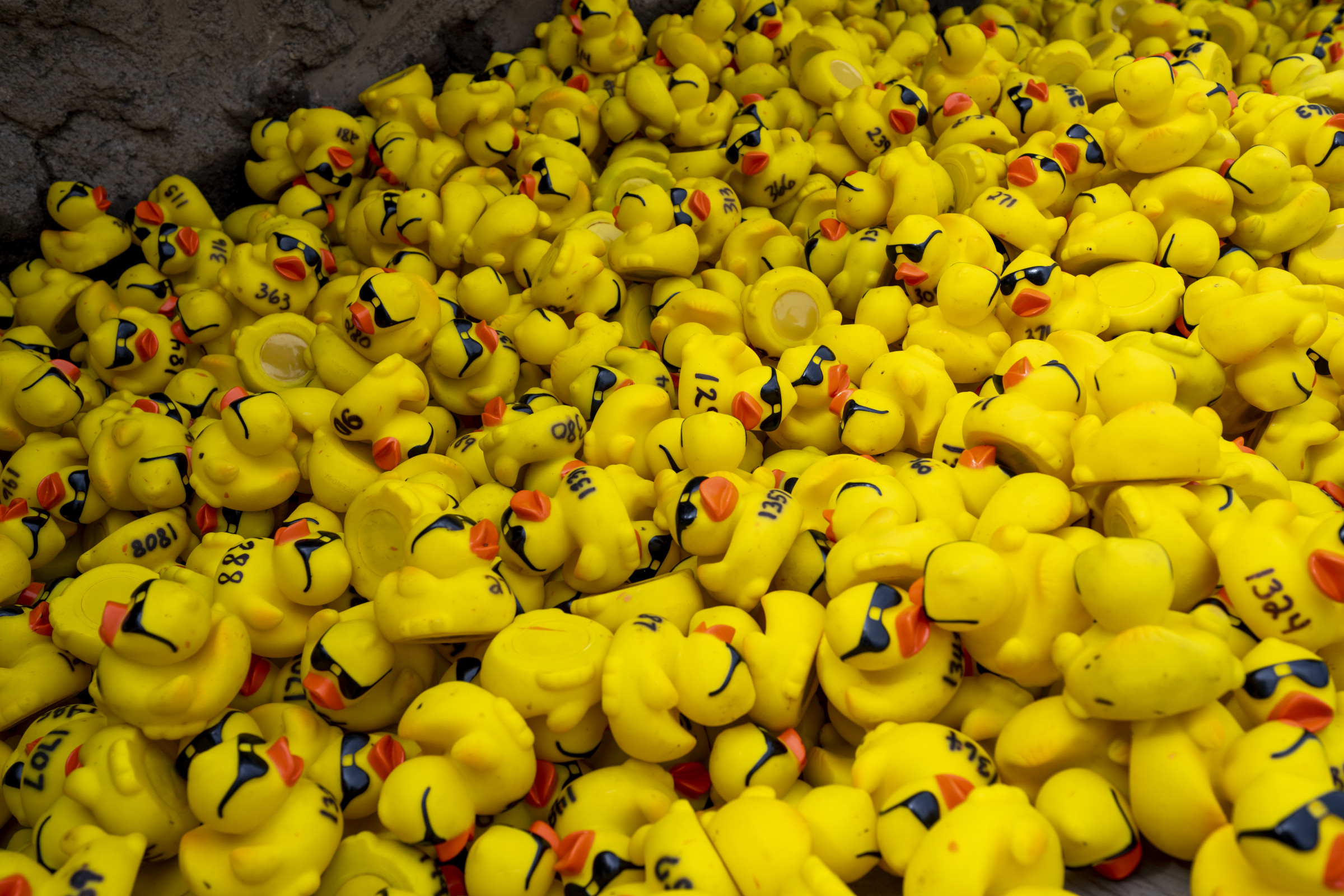 The CAP-PY Duck Derby Is Fast Approaching! | LivingADK